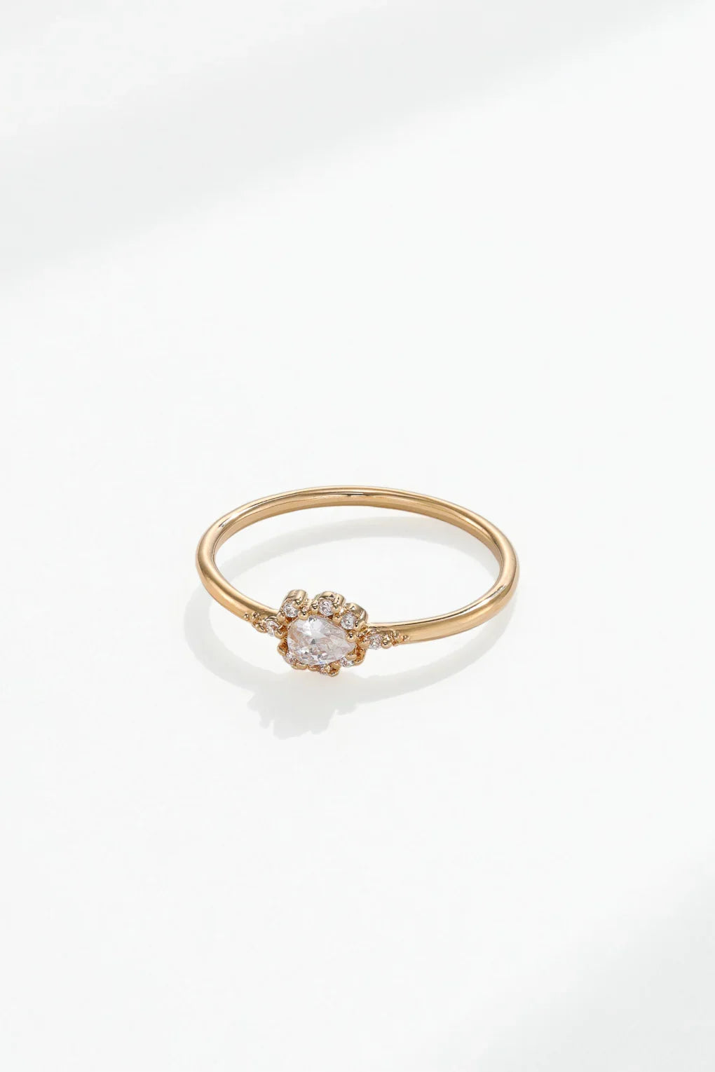 Holly Ring